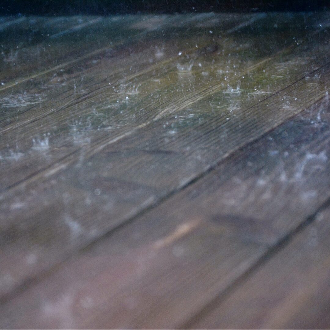 Do Pest Control Issues Increase After Fall Rains? · ExtermPRO